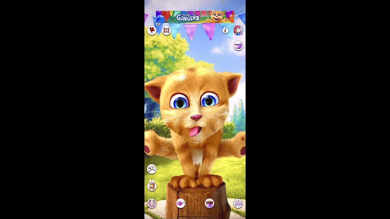 Talking ginger|Talking ginger cat - YouTube
