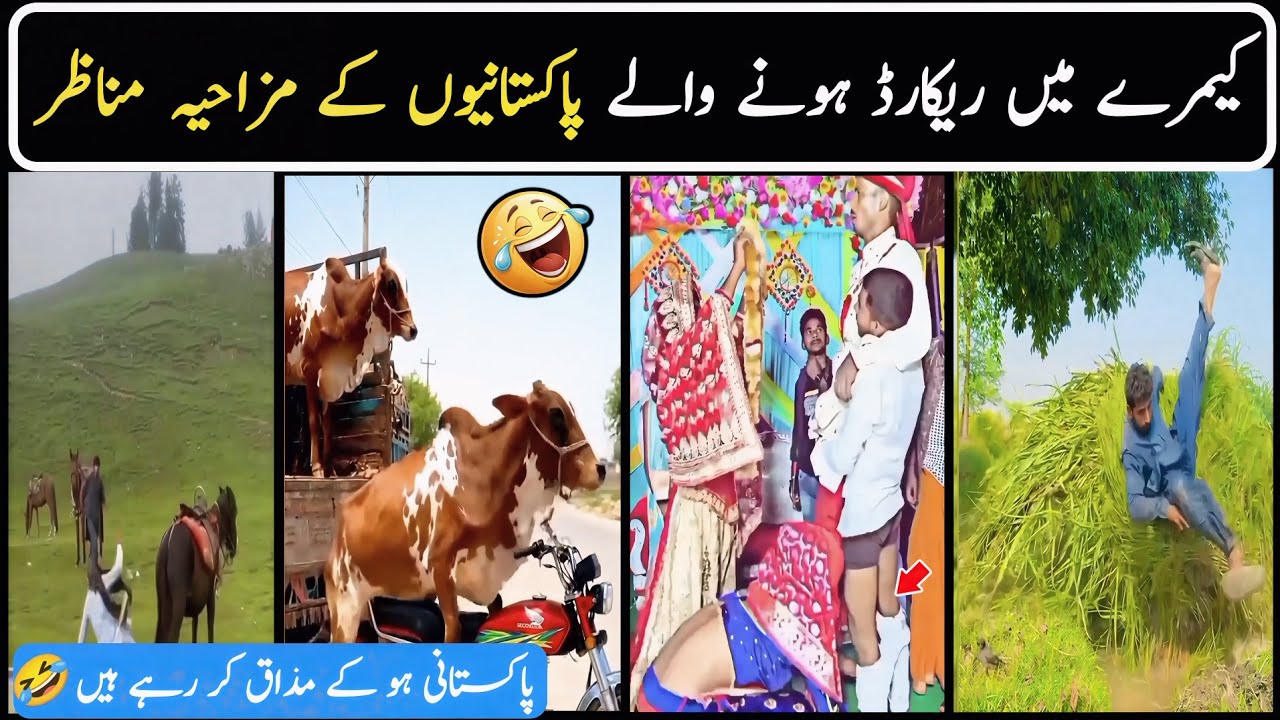 "Pakistani Comedy That Will Make You Cry Laughing!"|videos, Try Not to ...