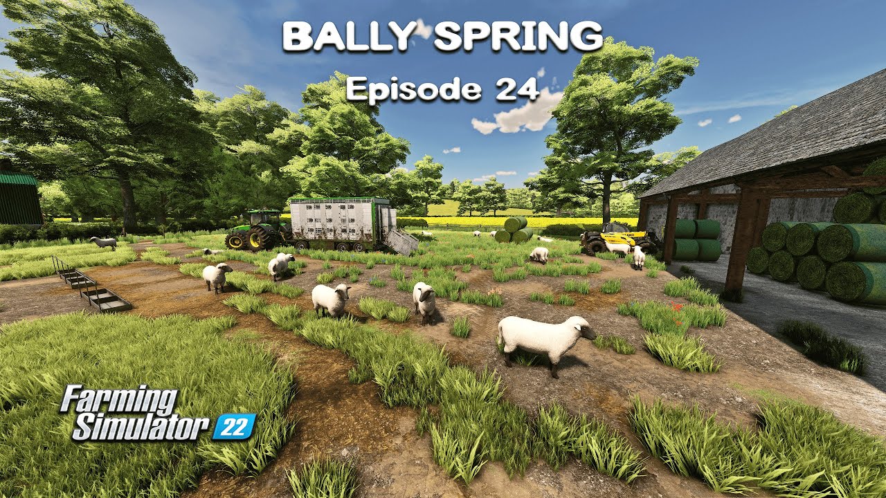 Buying SHEEP & NEW FIELD, SHEEP care, Mowing Grass, Plowing | Bally ...