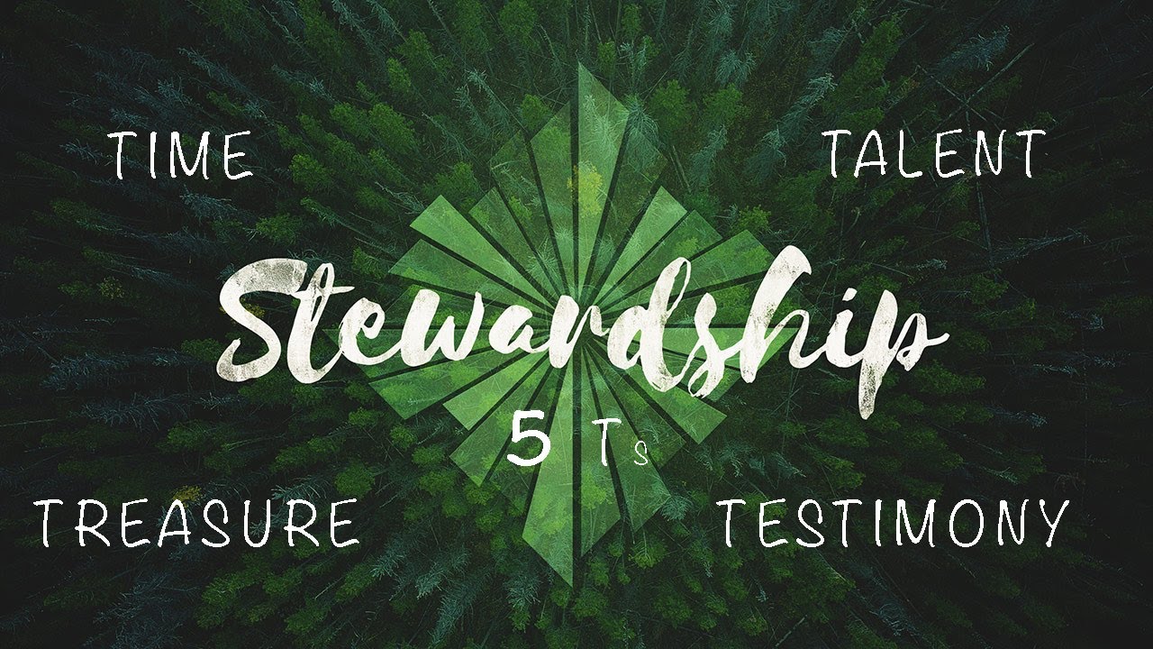 A Reflection on Stewardship - YouTube