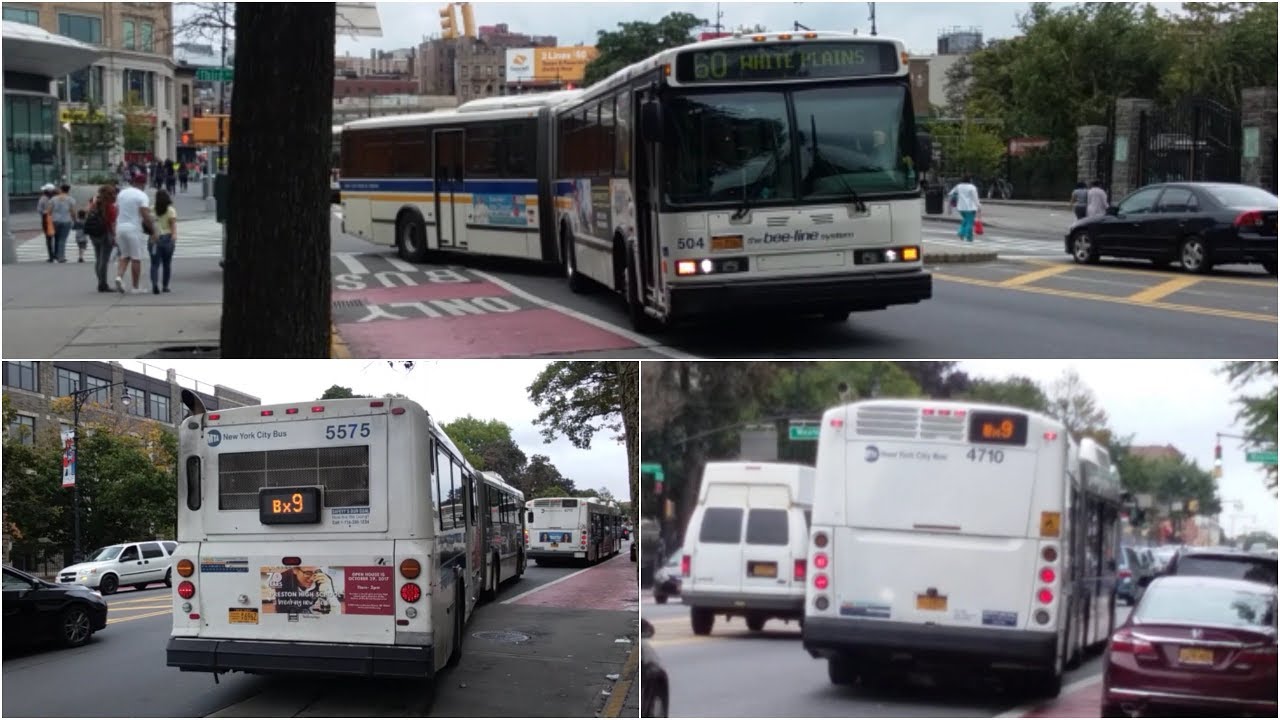 Bee-Line|MTA: One Neoplan, two New Flyers on the W60/Bx9 buses - YouTube