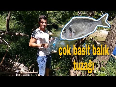 BALIK TUZAĞI YAPTIM / ÇOK BASİT BALIK TUTMA (FİSHİNG)