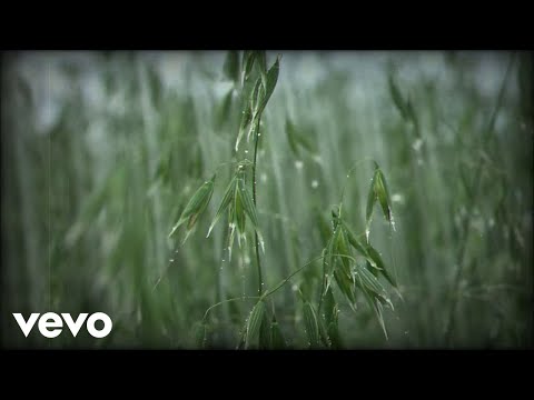 Zlatni Dukati - Joj, Anice