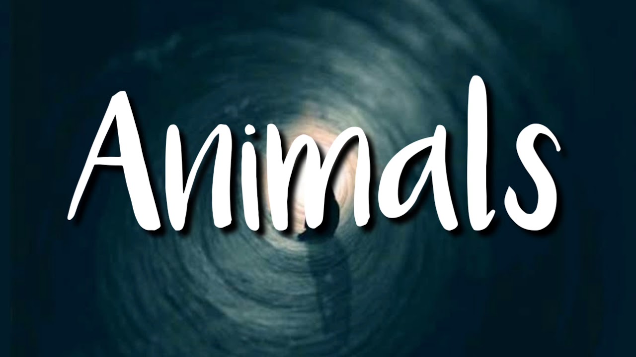 Sheppard - Animals (Lyrics) - YouTube