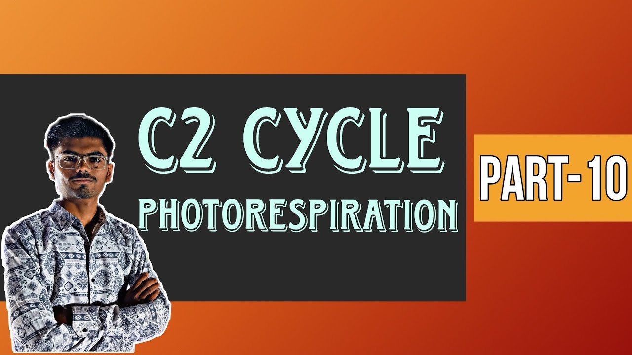 C2 Cycle | Photorespiration | Glycolate Cycle | PART-10 - YouTube