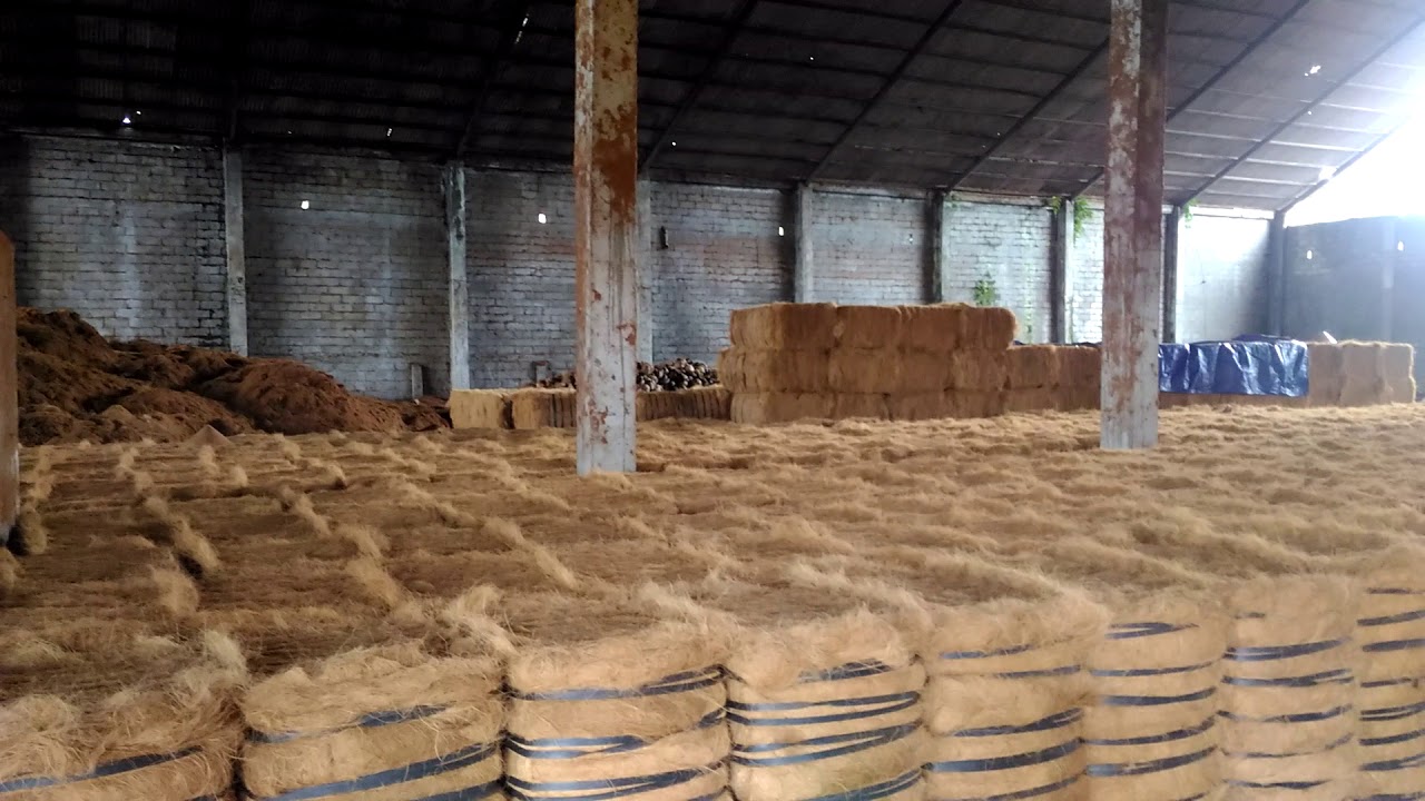 Coconut fiber at our factory - YouTube