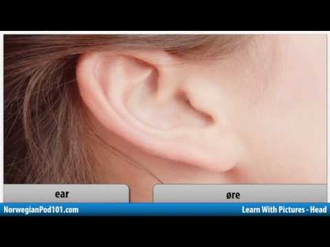 Learn Norwegian with Pictures - Facial Features - YouTube