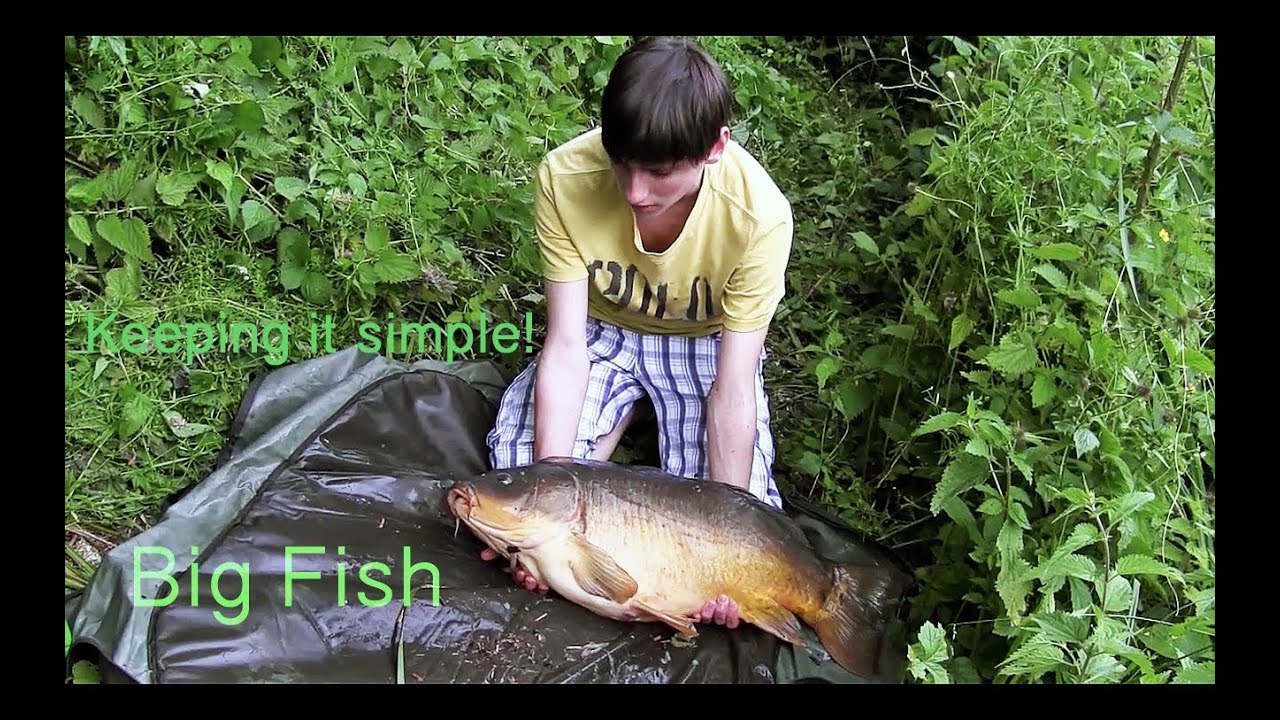 Shallow Water Big Fish! - YouTube