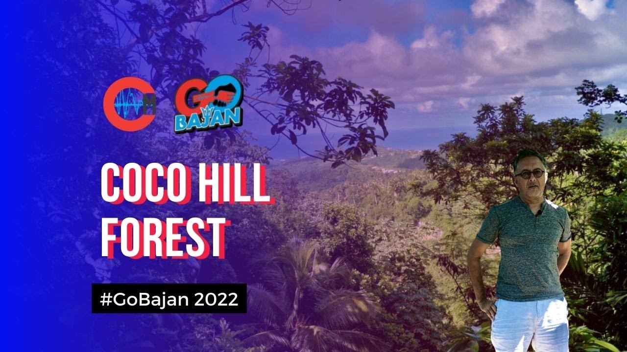 Go Bajan with Coco Hill Forest! - YouTube