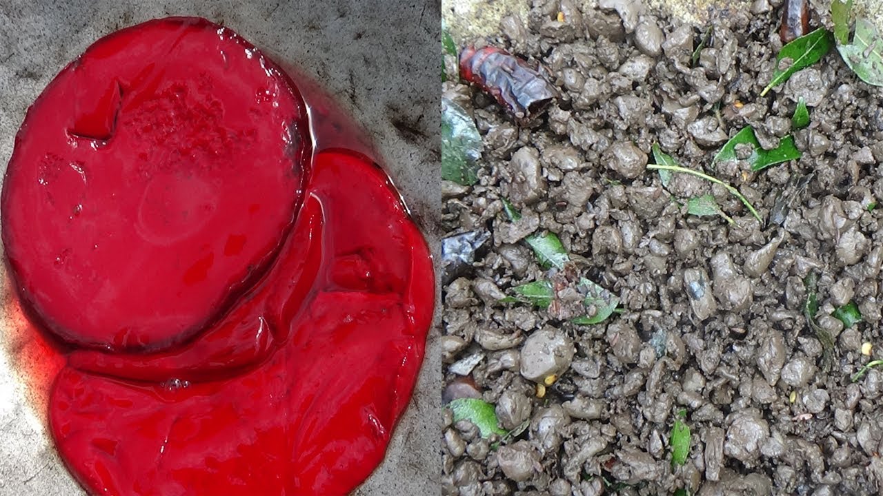 Village Style Goat Blood Fry ,,,சத்தான சுவையான''' ஆட்டு இரத்த பொரியல் ...