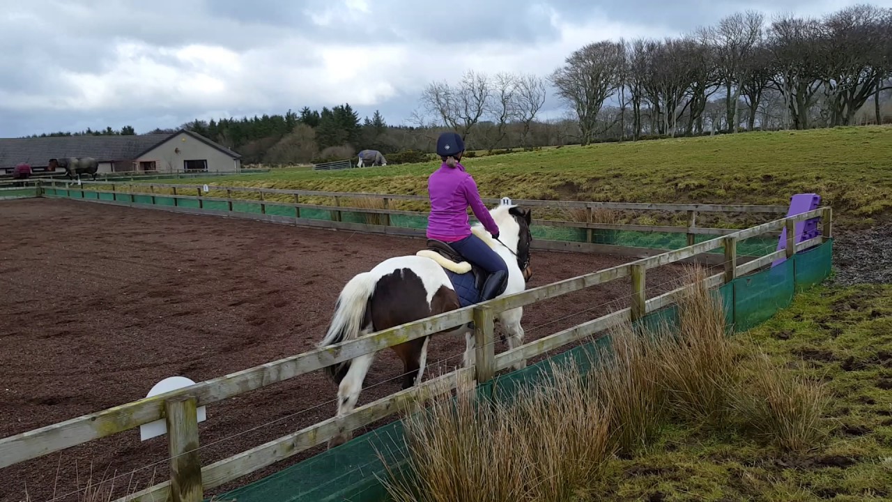 Donna Wiseman PADDY Novice 30 - YouTube