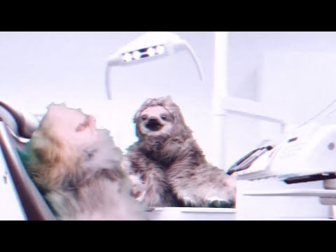 理不尽な歯医者【The unreasonable dentist】#SLOTH - YouTube