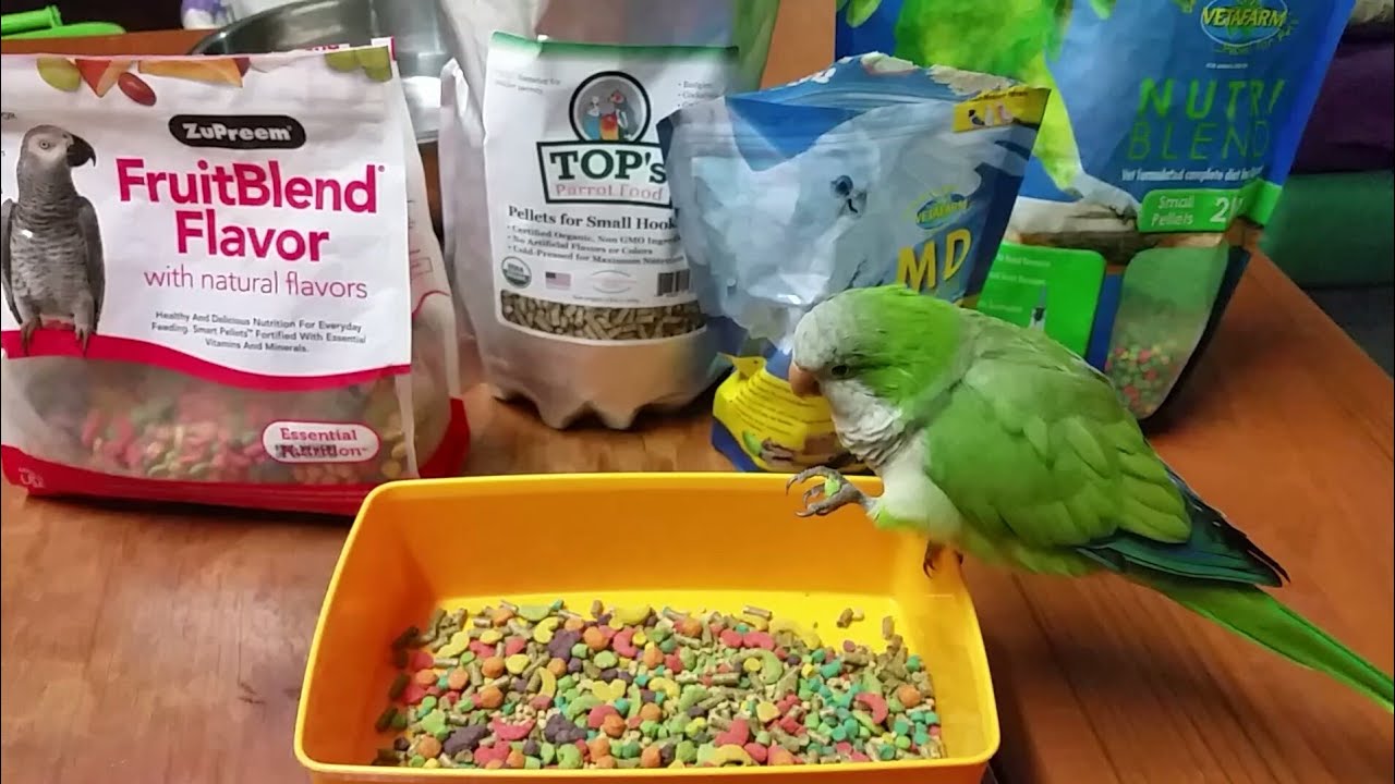 Mixed Pellets VARIETY!! - YouTube