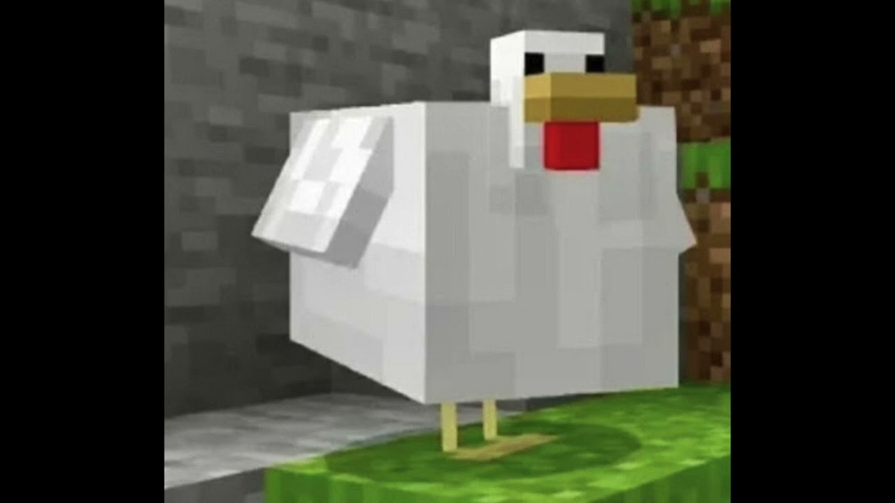 Chicken Minecraft