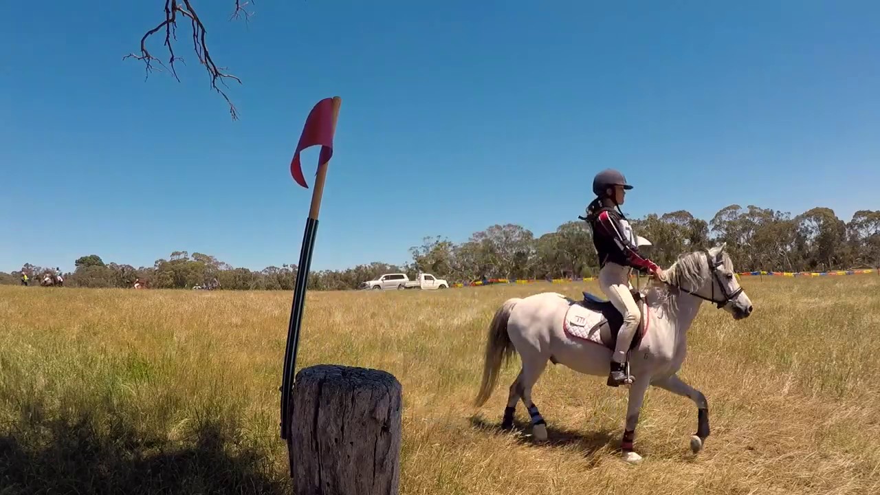 Rider 72 Caitlin Ashby Riding SHENANIGANS SHANNY PC 5 under 17 Roskhill ...