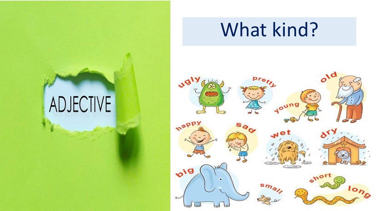 Adjectives that Tell What Kind / Descriptive Adjective - YouTube