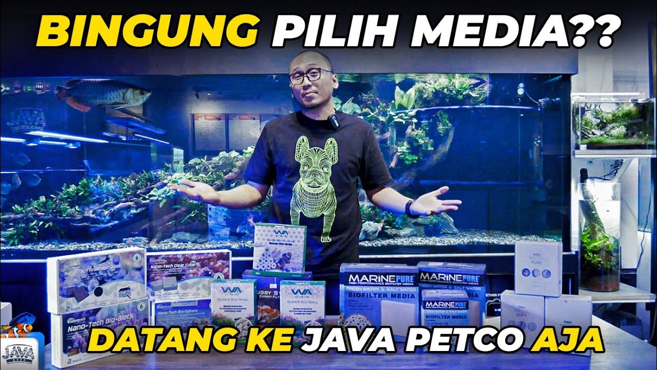 GIMANA PILIH MEDIA BAKTERI YANG TERBAIK? INI JAWABANNYA - YouTube
