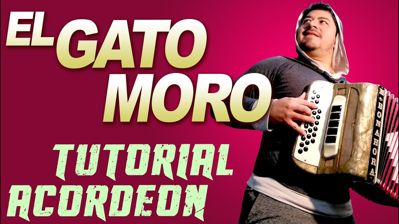 TUTORIAL: EL GATO MORO - Tutorial de Acordeon Verdulera - YouTube