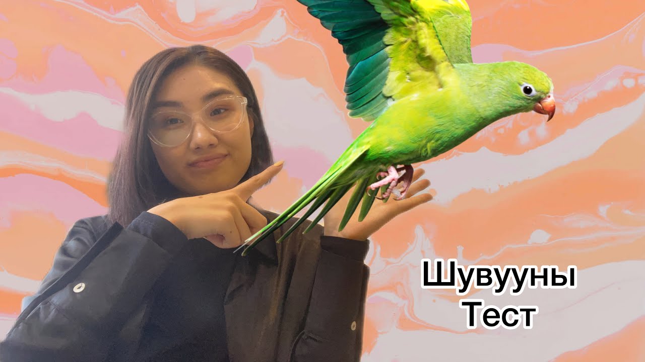 ШУВУУГААР ХАЙРТАЙ ХҮНЭЭ СОРИХ НЬ Youtube