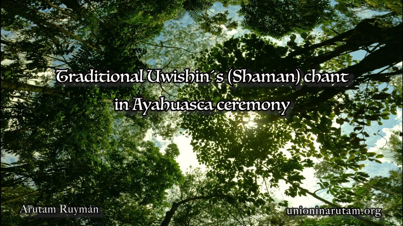 Traditional Uwishin´s (Shaman) chant in Ayahuasca ceremony.Invocation ...