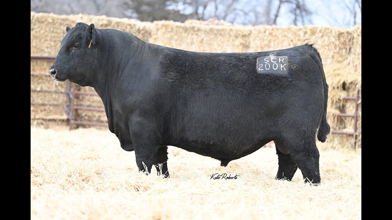 Grant 200K - YouTube