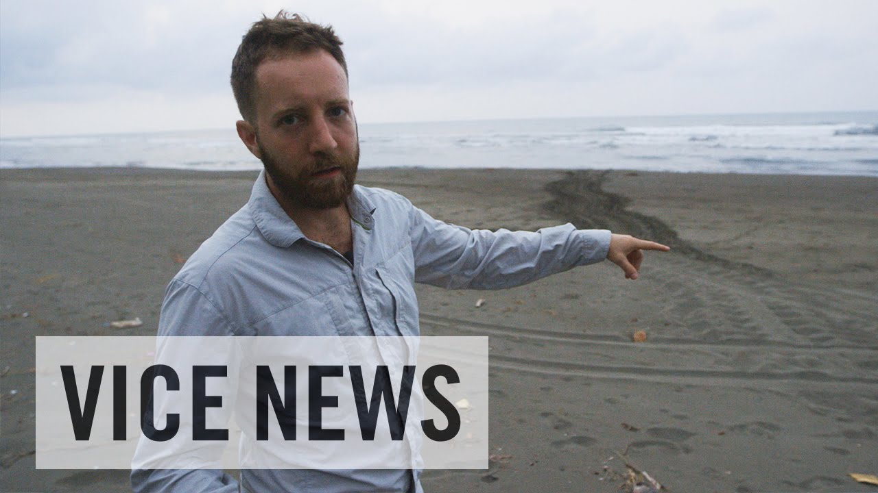 This Week On The Line (Trailer): Danny Gold on Drug Trafficking and ...