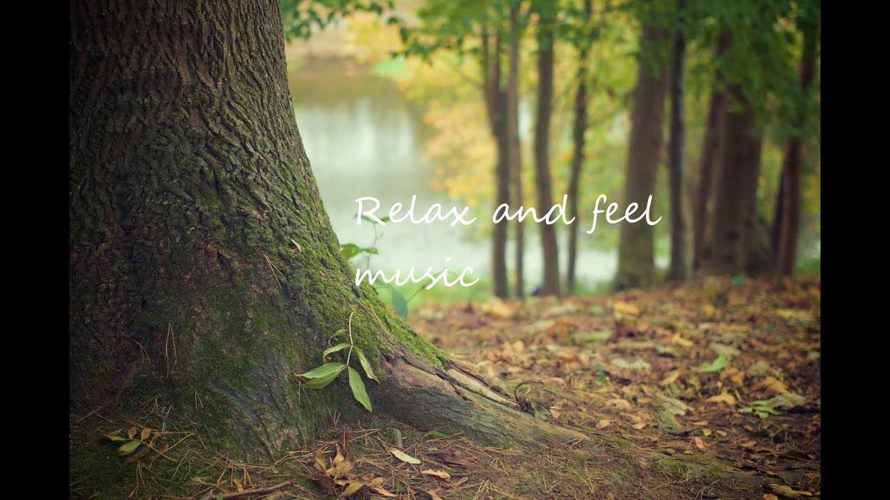 Forest feel sound Just Relax and listen to the music and feel it. - YouTube