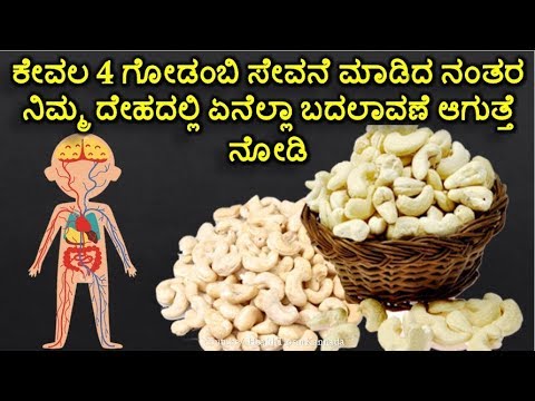 Health Benefits of Godambi | cashews benefits | ಗೋಡಂಬಿ ಉಪಯೋಗಗಳು - YouTube