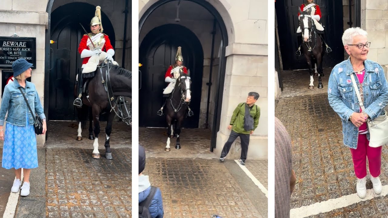 The amazing guard quickly intervened when a tourist broke the rules ...