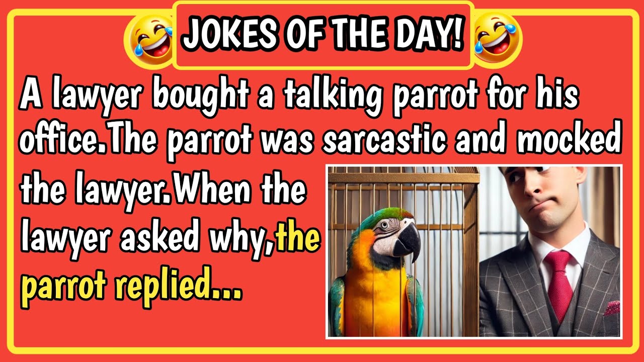 🤣 BEST JOKE OF THE DAY!A Lawyer’s Talking Parrot Roasts Him Daily ...