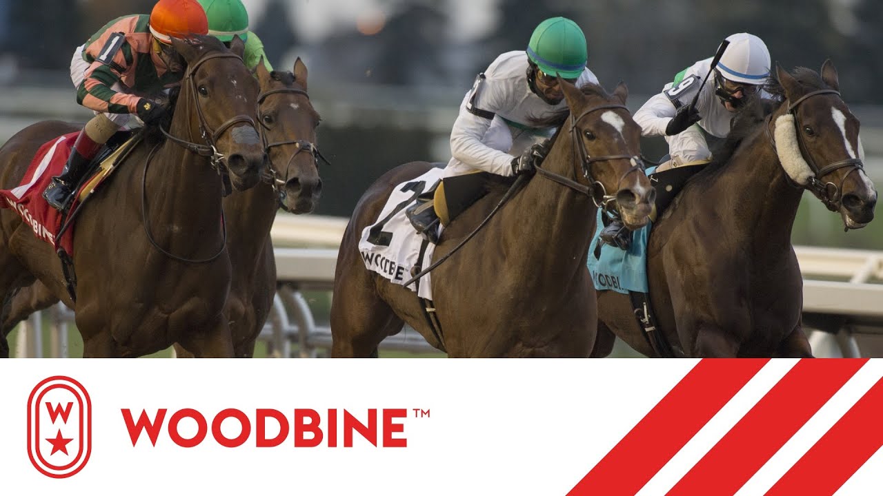 2019 Maple Leaf Stakes (Grade III): Woodbine, November 2, 2019 - Race 8 ...