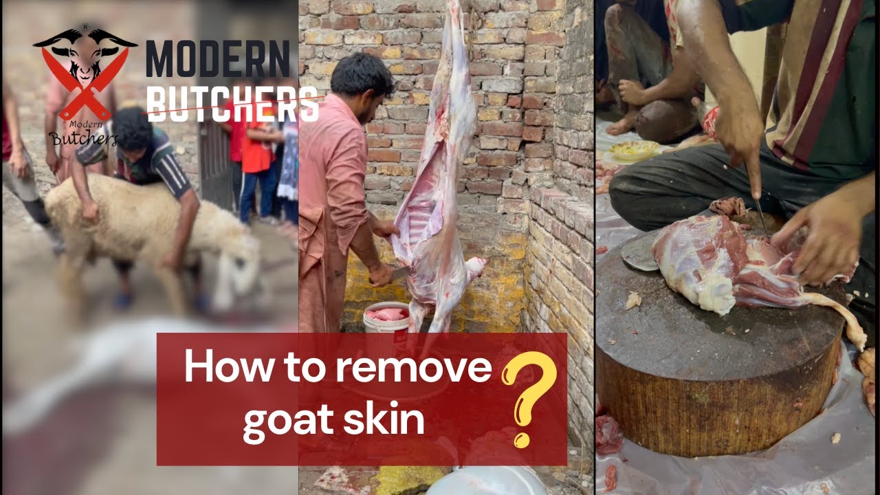 How To Remove Goat Skin | Mutton Cutting | Modern Butchers | The Future ...