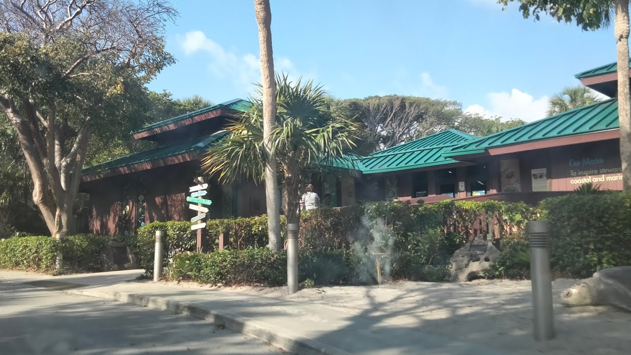 Gumbo Limbo Nature Center in Boca Raton, FL - YouTube