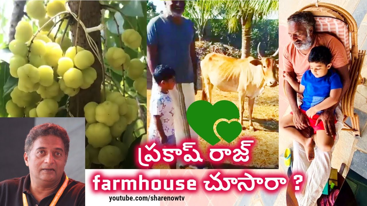 Prakash raj enjoys lock down in farm house || prakash raj faram house ...