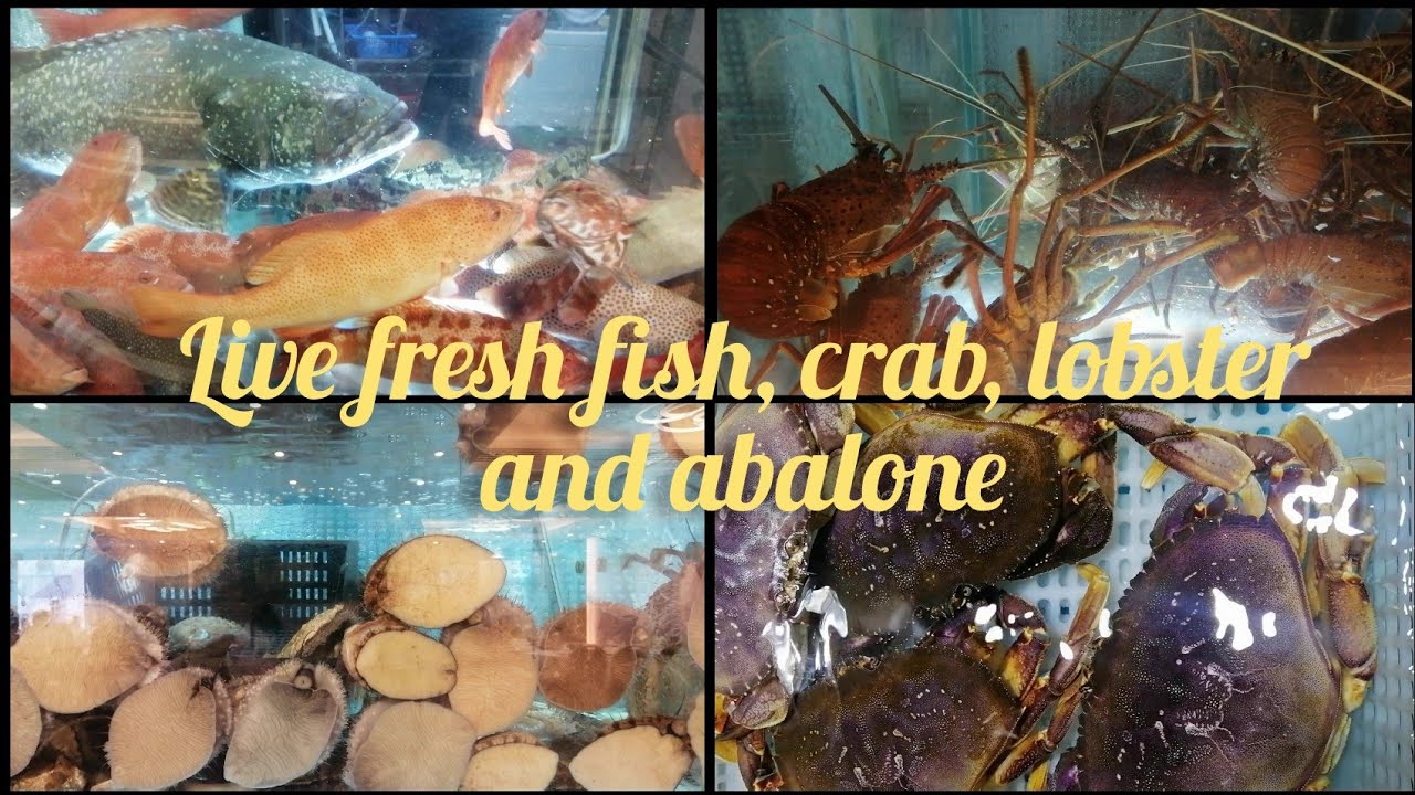 Seafood tank full of colorful fish, lobster, crab and abalone ...