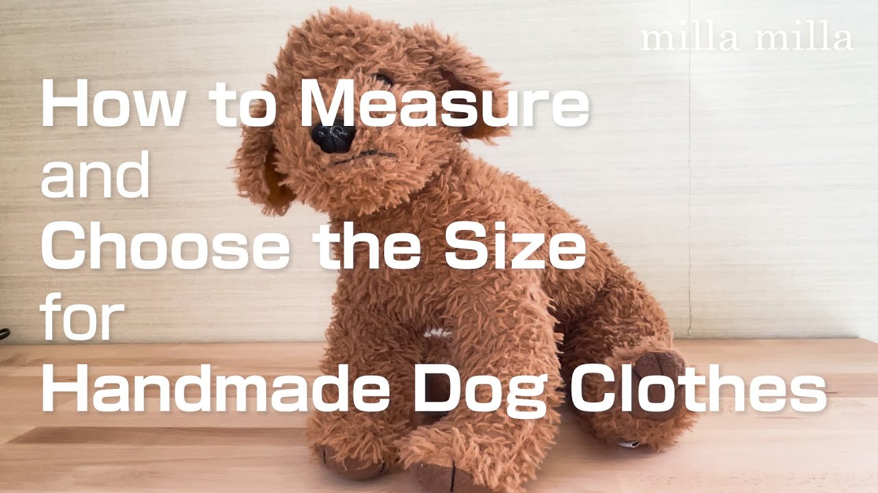 How to Measure for Dog Clothing Pattern - YouTube