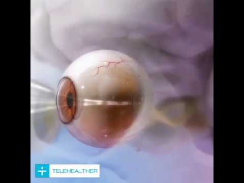 Process of seeing - YouTube