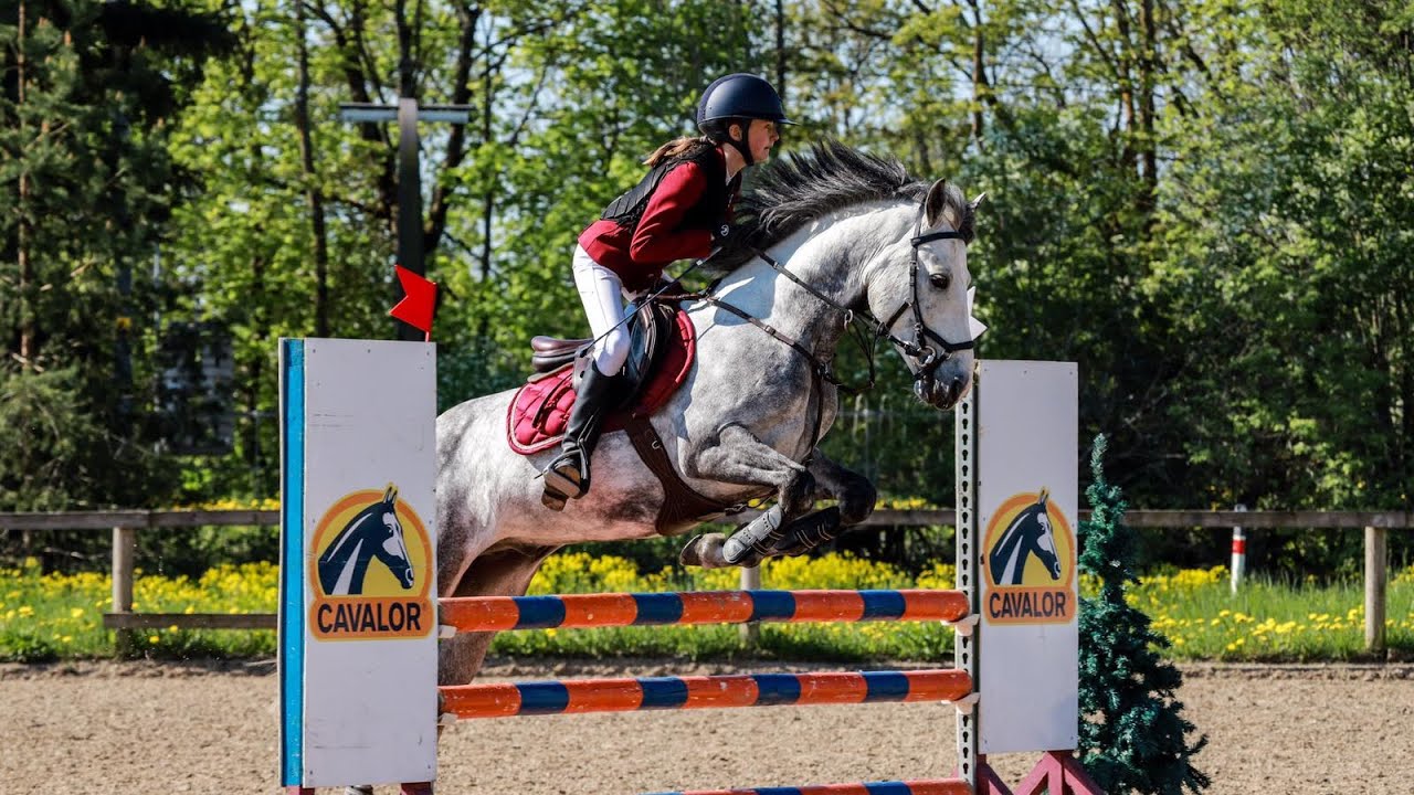 Lord Castlemaine - YouTube