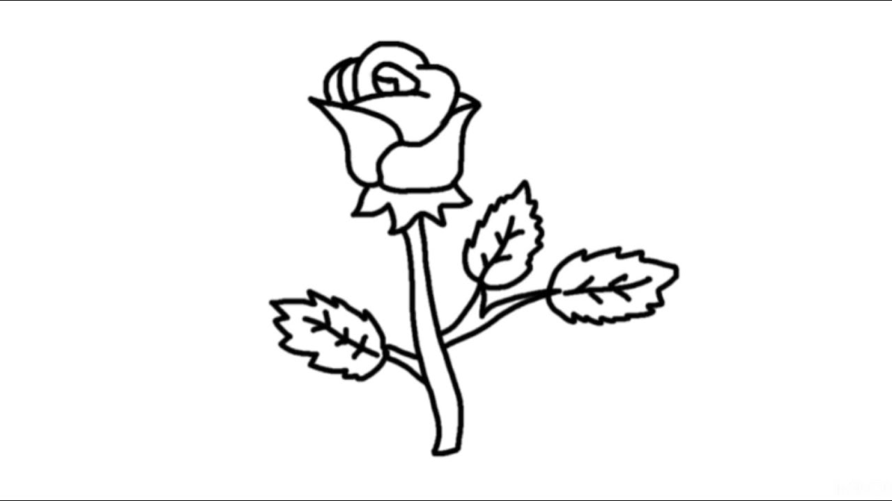 Cara Menggambar Mawar | How to Draw a Rose - YouTube