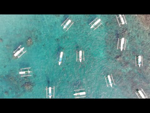 Indonesia: The search for blue ass watah