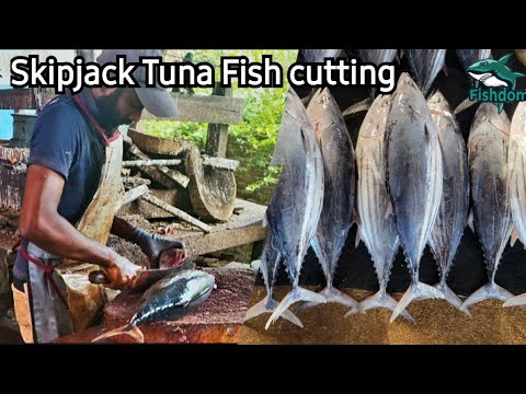 Most popular fish 😲 ! Village fish cutting Yellow fin tuna fish cutting ...