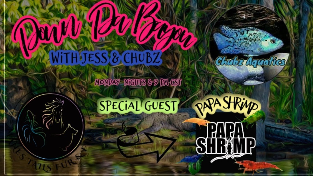 Down Da Bayou - YouTube