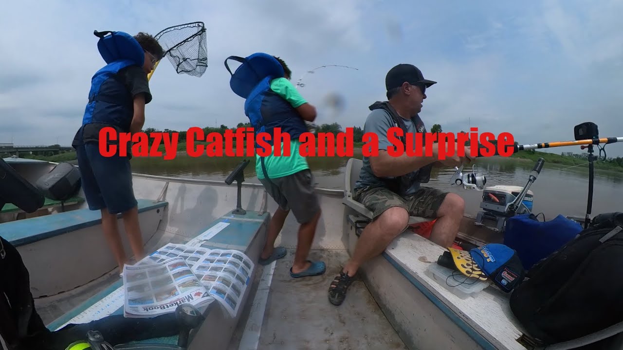 Crazy Catfish and a Surprise - YouTube
