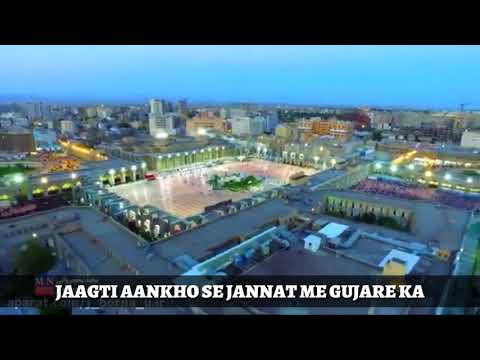 VILADAT E IMAM REZA A.S. WhatsApp status.