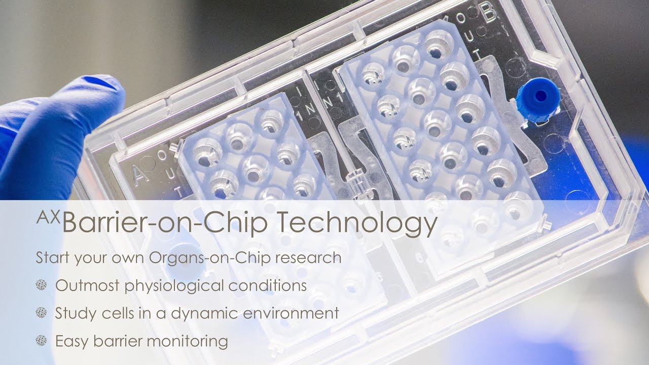 AlveoliX - Barrier-on-Chip Technology - YouTube