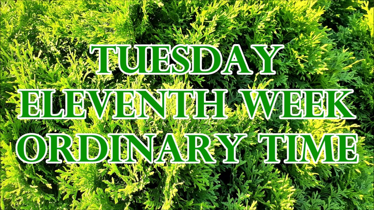 TUESDAY ELEVENTH WEEK IN ORDINARY TIME:Fr. Vincent Brewer - YouTube