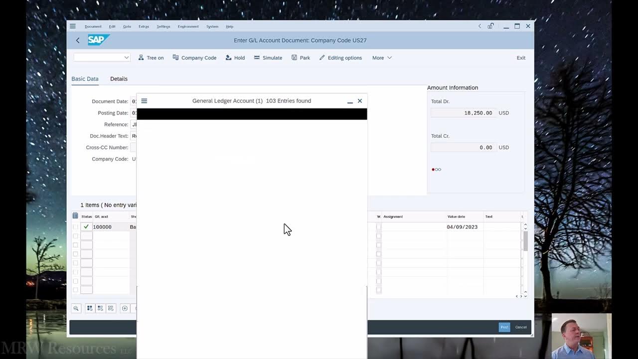 SAP - Enter Journal Entry Documents (FB50) - YouTube