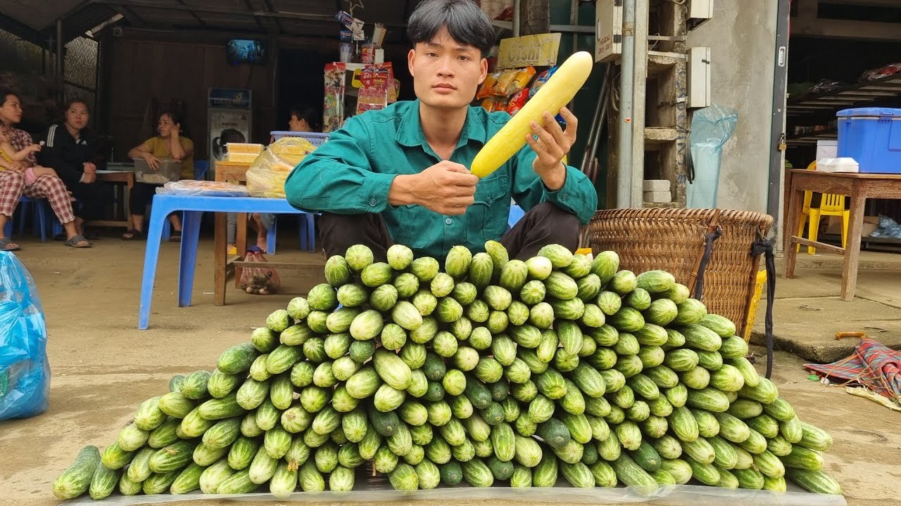 Harvest cucumber, go to market to sell, my daily life, forest life ...