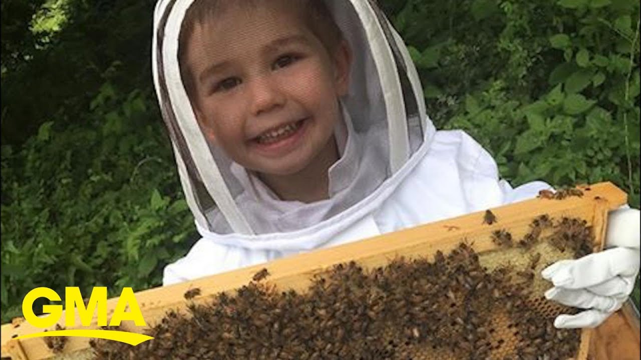 This 3-year-old beekeeper is sweeter than honey | GMA Digital - YouTube