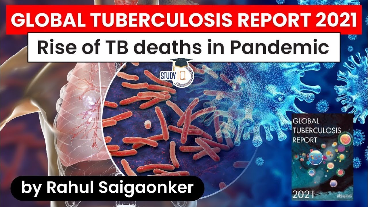 Global Tuberculosis Report 2021 - Rise of TB deaths during Pandemic ...